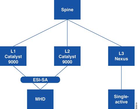 Cisco Nexus 9000 Series Nx Os Vxlan Configuration Guide Release 10 4 X Interoperability With