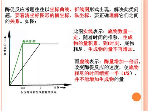 酶促反应速度、底物浓度、酶浓度、反应时间的关系