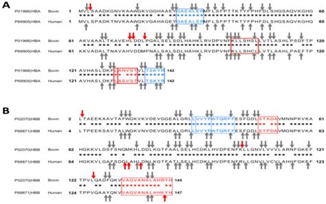 Ijms Special Issue Antioxidants And Anti Inflammatory