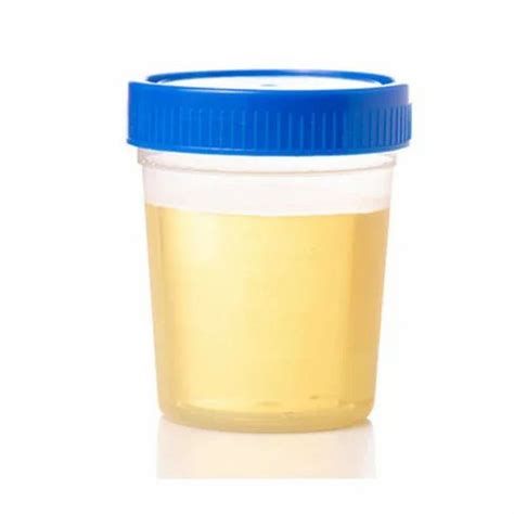 Labomed Microscope Binocular Led Vision 2000 At ₹ 1175 00 Coaxial Binocular Microscope