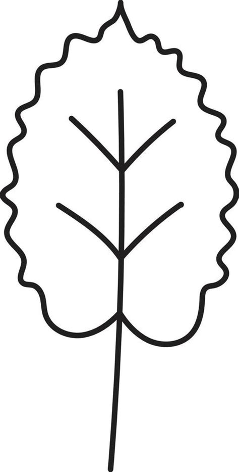 Leaf Drawing Vector 22953829 Vector Art At Vecteezy