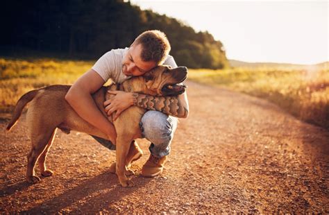 Photographing Reactive Dogs Pets Through The Lens Photography