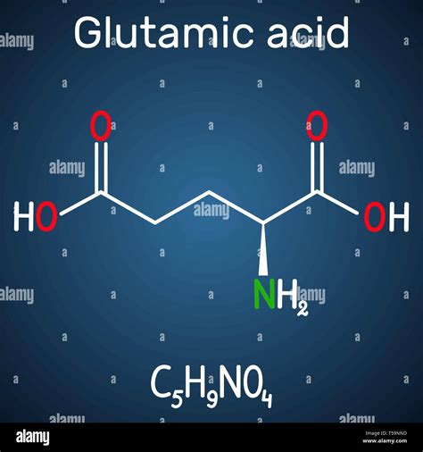 Glutamic Acid L Glutamic Acid Glu E Aliphatic Amino Acid Molecule