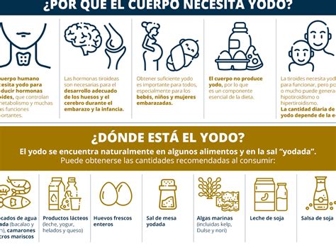 Alimentos Prohibidos Para Personas Sin Tiroides Dieta Baja En Yodo