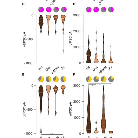 Summary Data Organized By Pns And Monosynaptic Connectivity Map Hvc Download Scientific Diagram