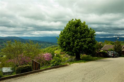 배경 화면 사진술 경치 언덕 나무 식물 꽃들 마을 옥외 구름 2048x1365 Onecivilization 2205279 배경 화면 Wallhere