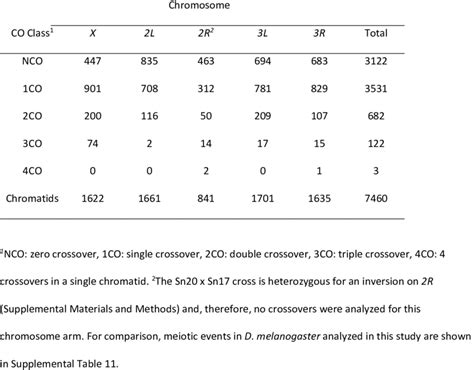 Observed Number Of Meiotic Events In D Yakuba Download Scientific