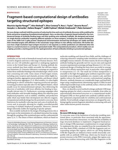 Pdf Fragment Based Computational Design Of Antibodies Targeting