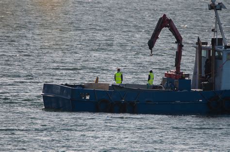 Students Celebrate Completion Of Native Shellfish Reefs In Their