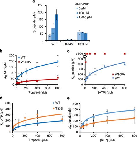 Mutations To The Allosteric Network Producing Biochemical Phenotypes Download Scientific