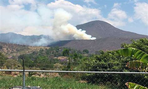 Registra Oaxaca 225 Incendios Forestales En Este Año