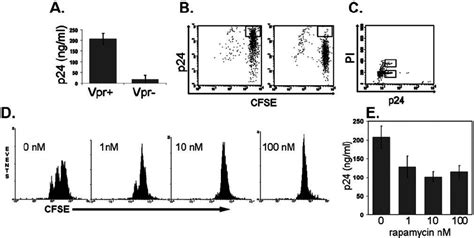 Characterization Of The Role Of Vpr In Enhanced Hiv Production A