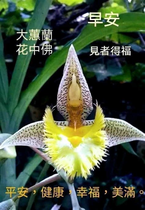 老欸今那日愛呷菜喔 爆廢公社 爆料公社