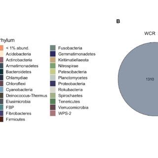 A Phylum Level Stacked Bar Chart Of Average Relative Abundance Of