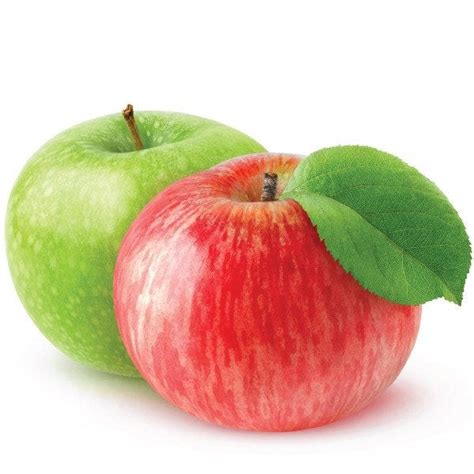 What Is The Difference Between Parametric And Non Parametric Algorithms By Divineinnervoice