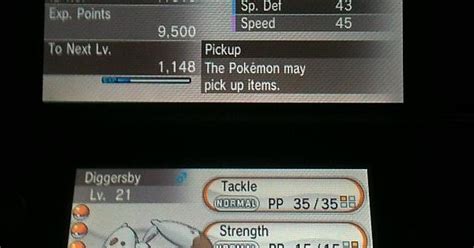 My Sister Started Crying Because Cute Bunnelby Evolved Into Ugly