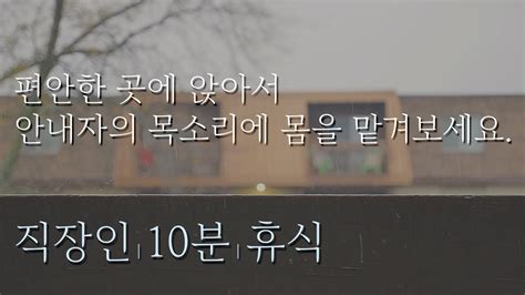 직장인을 위한 최고의 휴식법 앉아서 하는 명상 · 회사에서 하는 명상 · 오피스 요가 10분 요가니드라 요가소년