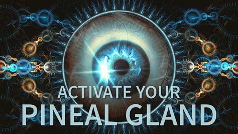 Activation Of Pineal Gland Cedar Nut Oil By And Borax Part 16