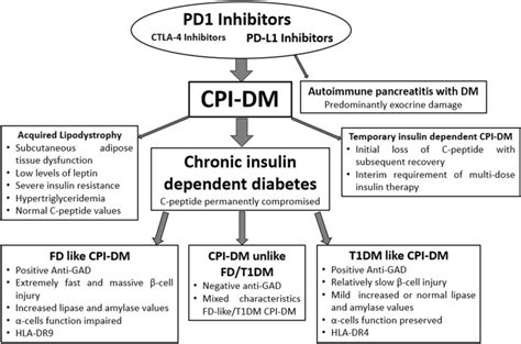 Different Forms Of Diabetes Mellitus Induced By Checkpoint Inhibitors Download Scientific