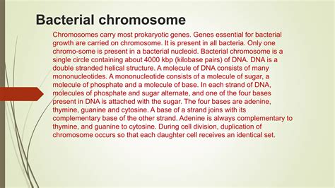 Plasmids And Nucleoid Pptx