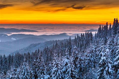 24 спиращи дъха зимни пейзажи от България ♥ Winter Photograph