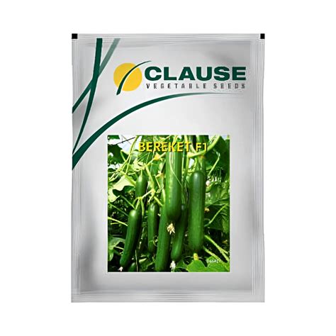 Bereket Cucumber Seeds Hm Clause F1 Hybrid Buy Online Desikheti