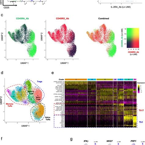 Characterization Of Thp 1 Surface Inflammatory Receptors Download