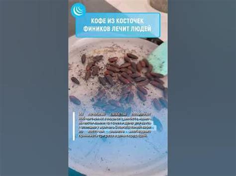 ☕🌴КОФЕ ИЗ ФИНИКОВ #мирадио #дагестан #кофе #coffee #финики #finike # ...