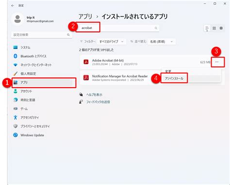 Windows Acrobat Reader It Trip