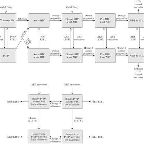 Model Schematics A Illustrates The Stratification Of The Population Download Scientific