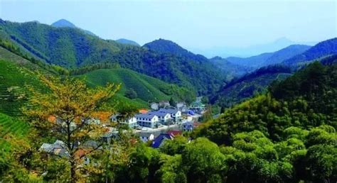 探村杭州余杭 径山村，这个被禅意包围的村落，文艺又清新