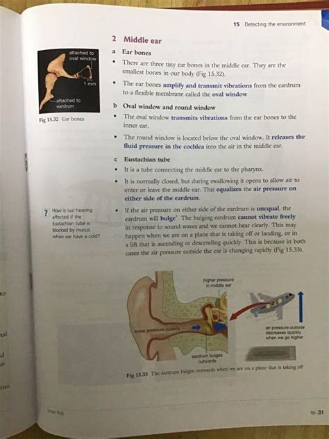 New senior secondary mastering biology third edition 興趣及遊戲 書本 文具 教科書 Carousell