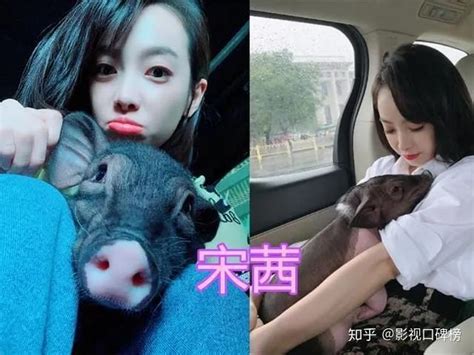 明星养宠物都有哪些花样？周震南猫奴实锤，宋茜养猪，程潇养蜥蜴 知乎