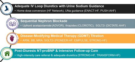 Abdallah Evidence Based Approach To Acute Heart Failure Management