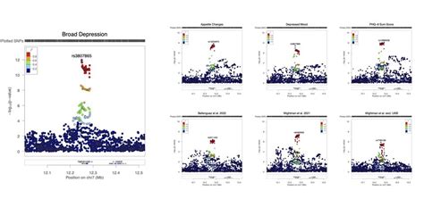 Locuszoom Plots Of The Transmembrane Protein 106b Tmem106b Gene