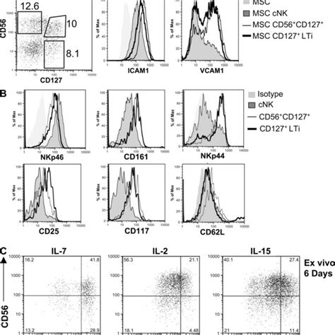 Human Cd127⁺ Lti Like Cells Are Precursors Of Cd56⁺cd127⁺ Cells And Download Scientific Diagram
