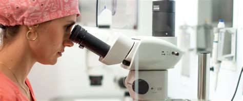 Estradiol How Affects Your Fertility And Ivf Vida Fertility