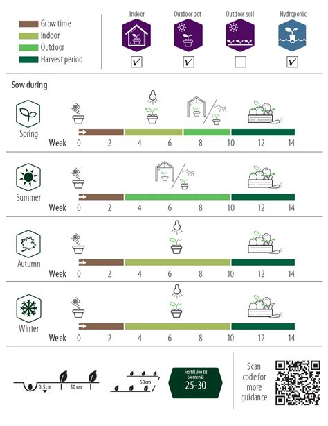 Cherry Tomato Tiny Tim Grow Towers