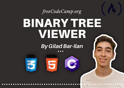 How To Create A Binarytreeviewer Using C Css And Html Code
