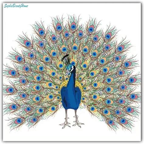 How To Draw A Peacock With Open Feathers This Tutorial Shows The Sketching And Drawing Steps