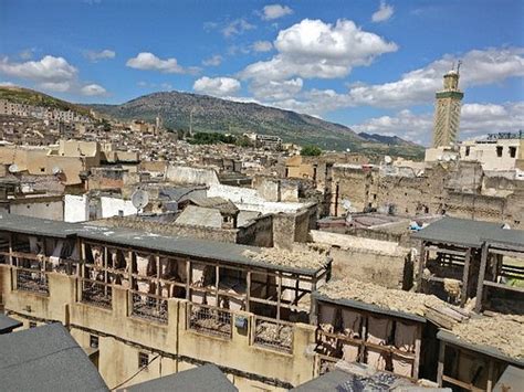 非洲 10 大最佳旅遊景點 Tripadvisor