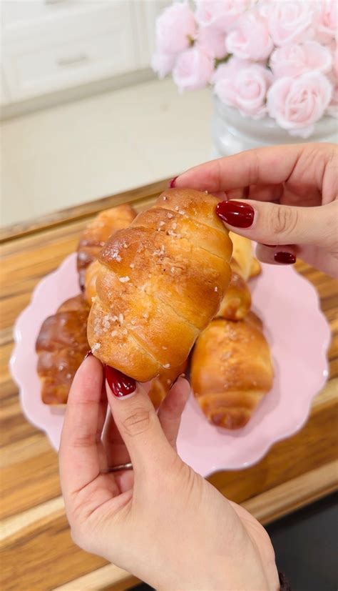 5 Ingredient Crusty Panini Bread Recipe No Knead