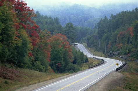 Winding Road In Forest Free Photo Download Freeimages