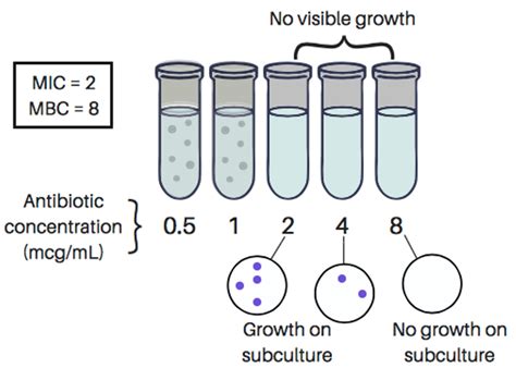 Antibiotic Minimum Inhibitory Concentrations Do You Know These 6