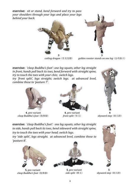 Shaolin Kung Fu Training Pdf Chinese Martial Arts Qigon