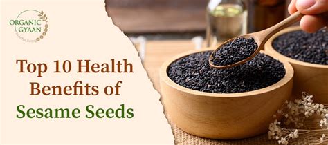 10 Essential Sesame Seeds Benefits For Your Health Organic Gyaan