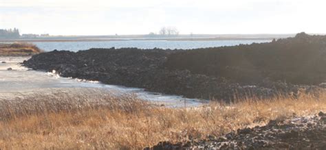 Marina Brooks Bulletin