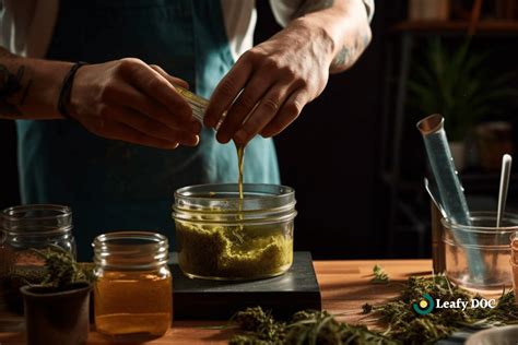 Master The Top Cannabis Cooking Techniques Leafy Doc