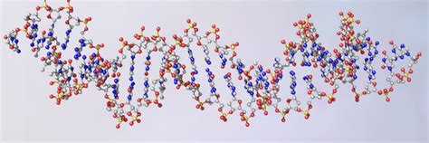Infographic Comparison Of Protein Biomarker Detection Methods