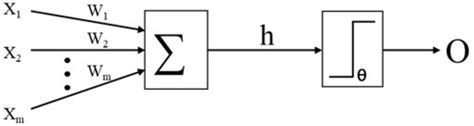 Mcculloch And Pitts Neuron Model 15 Download Scientific Diagram